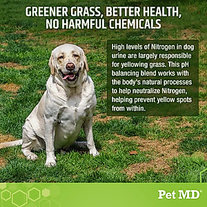 Pet MD Lawn Aid Chews - No More Yellow Spots Dog Urine Neutralizer for Lawn - pH-Balancing Helps Prevent Dog Pee from Killing Grass - Enhanced with Digestive Probiotics for Dogs & Puppies - 120 ct