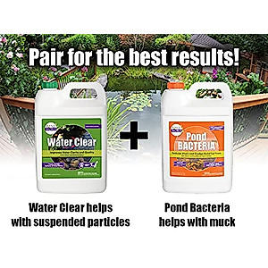 PondWorx Pond Bacteria and Water Clear- Formulated for Large Ponds, Water Features and Safe for Koi, Improves Water Quality- Gallon
