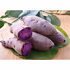 Japanese Purple Sweet Potato (1 LB)Excellent yields and flavor. Stores well.