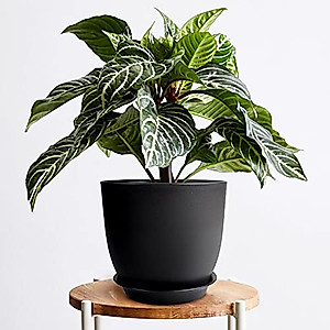 Giraffe Creation Plant Pots 7/6/5.5/5/4.5/4 inch, 6 Pack Flower Pots Outdoor Indoor, Planters with Drainage Hole and Tray, Black