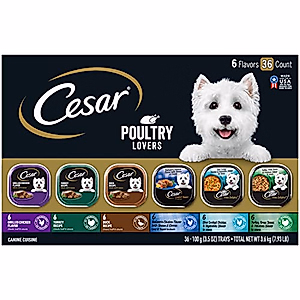 CESAR Adult Wet Dog Food Classic Loaf in Sauce Poultry Lovers Variety Pack, 3.5 oz. Easy Peel Trays with Real Chicken, Turkey or Duck, Pack of 36