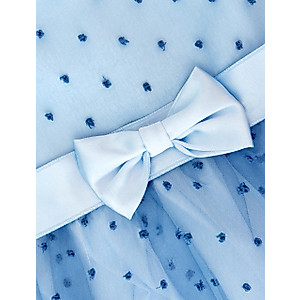 Lilax Baby Girl Lace Sleeveless Dot Tulle Dress Pageant 3 Piece Party Wedding Outfit (3-6 Months, Blue)