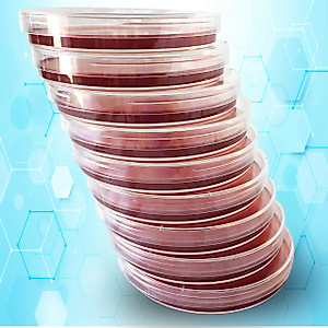 MacConkey Agar Plates - Evviva Sciences - 10 Prepoured MacConkey Agar Petri Dishes - Great for Science Fair Projects