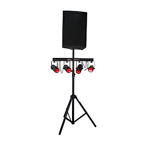 CHAUVET DJ 4 Play2-Portable, RGBW LED Effect Light, Black (4Play 2)