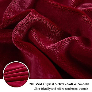 XeGe Plush Shaggy Duvet Cover Set, Luxury Soft Crystal Velvet Fluffy Furry Bedding Sets 3 Pieces(1 Faux Fur Fuzzy Comforter Cover + 2 Faux Fur Throw Pillow Shams), Zipper Closure (Queen, Red)