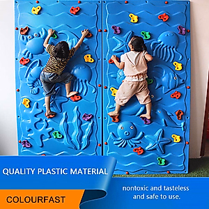 Natudeco 20Pcs Wall Climbing Rocks Climbing Stone Rock Plastic Wall Climbing Kit DIY Climbing Wall Grip Kids Climbing Wall Stone for Outdoor Indoor Home Playground