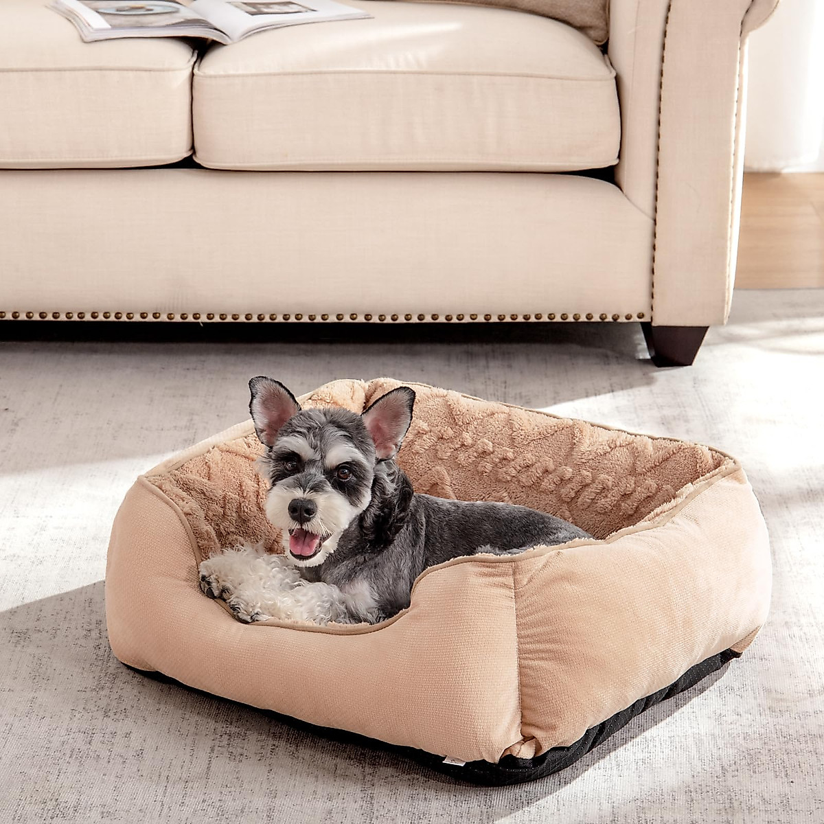 JOEJOY Small Dog Bed for Medium Small Dogs, Rectangle Washable Dog Sofa Bed, Breathable Soft Puppy Bed, Durable Pet Cuddler Bed with Anti-Slip Bottom, 25"x21"x8", Beige