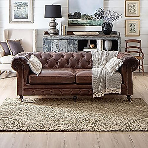 Mohawk Home Francesca Ornamental Medallion Sand 5' x 8' Shag Area Rug Perfect for Living Room, Dining Room, Office