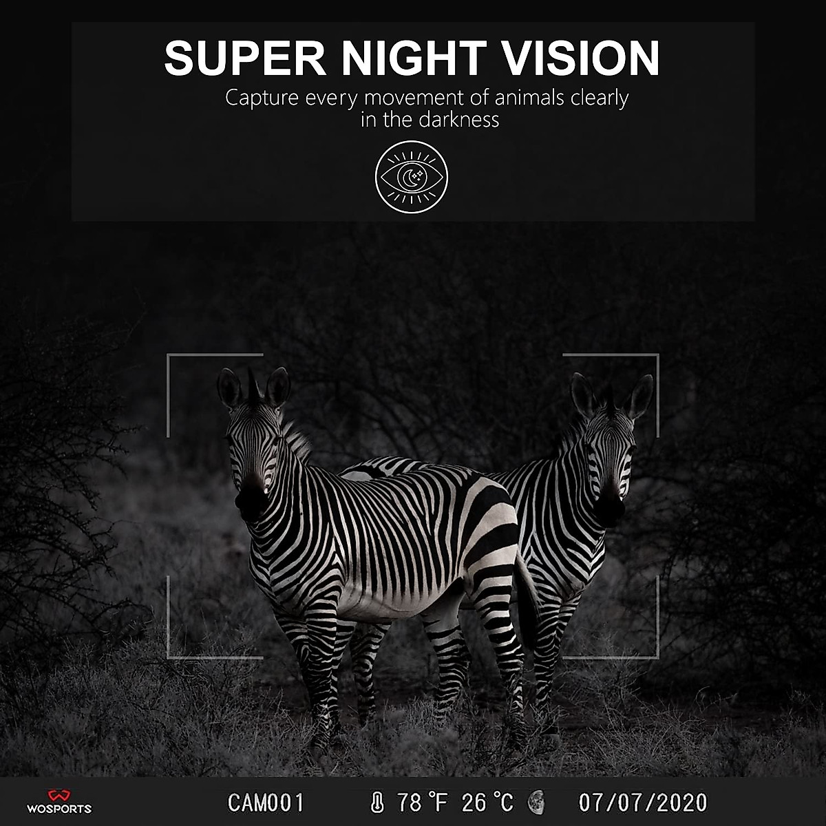 WOSPORTS Mini Trail Camera,24MP 1080P HD Game Hunting Camera Motion Activated with IR Night Vision Waterproof Video Cam for Wildlife Scouting Hunting Deer Cam