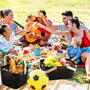 Sadnyy 4 Pcs Plastic Mesh Garden Harvest Basket Storage Basket with Wooden Handle Multi Functional Mesh Bin for Kitchen Cabinet Picnic Fruit Vegetable Gathering Organizer(Large, Small,Black)